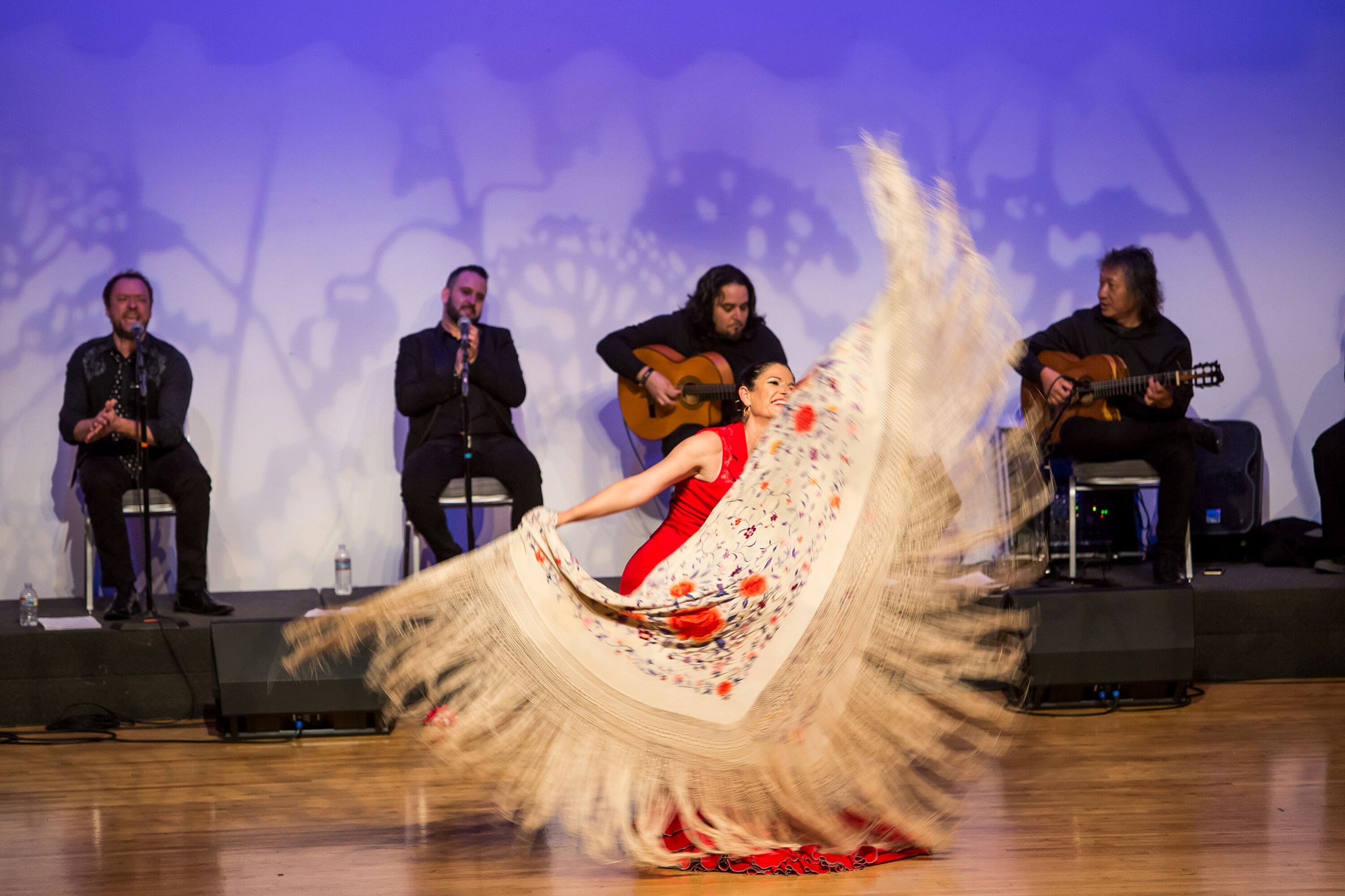 Flamenco Teacher Training: Lead, Inspire, and Preserve a Living ...