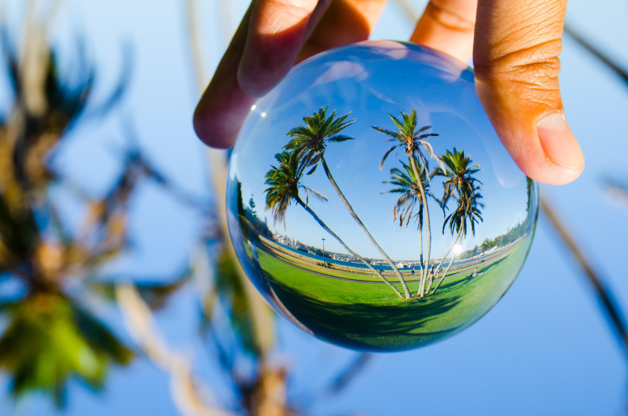 Timing Is Power: Leveraging Global Milestones to Amplify Environmental ...