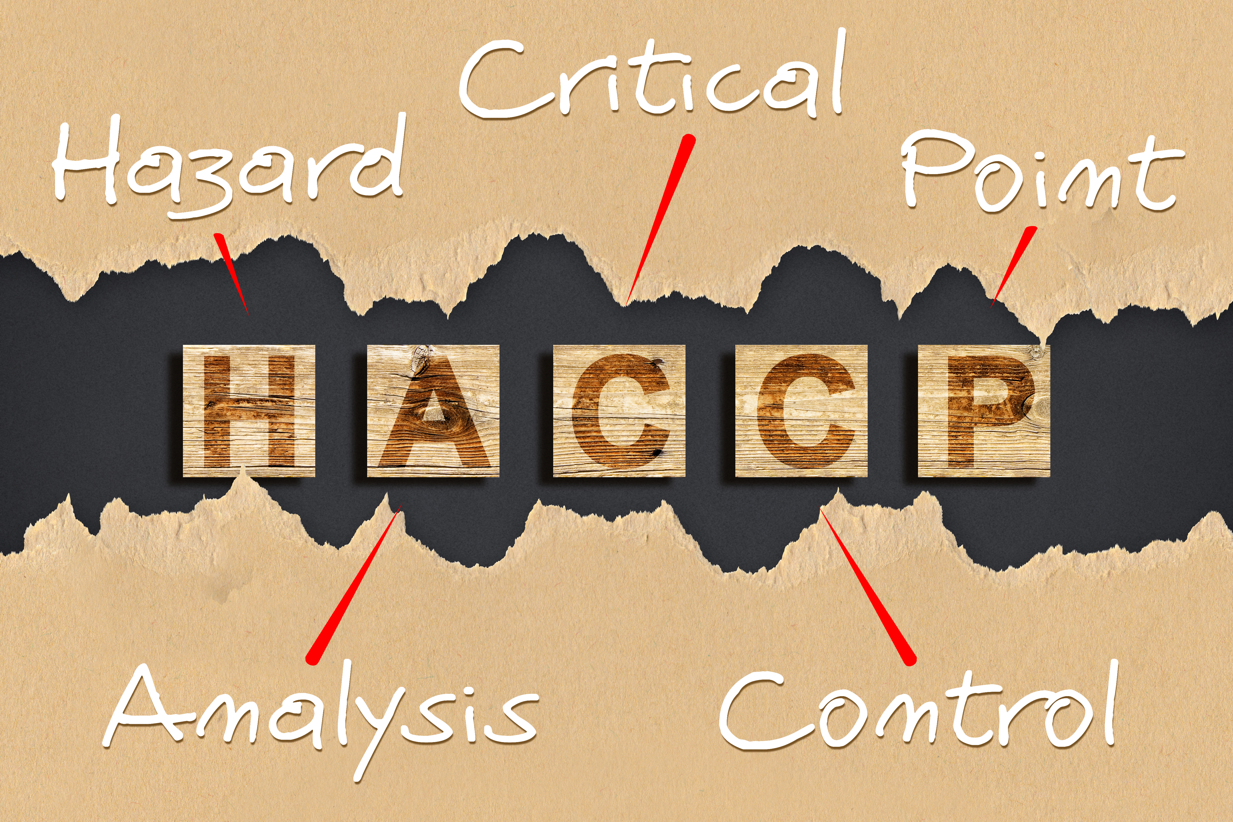 Mastering HACCP Compliance: Your Guide to Integrated Pest and Hygiene ...