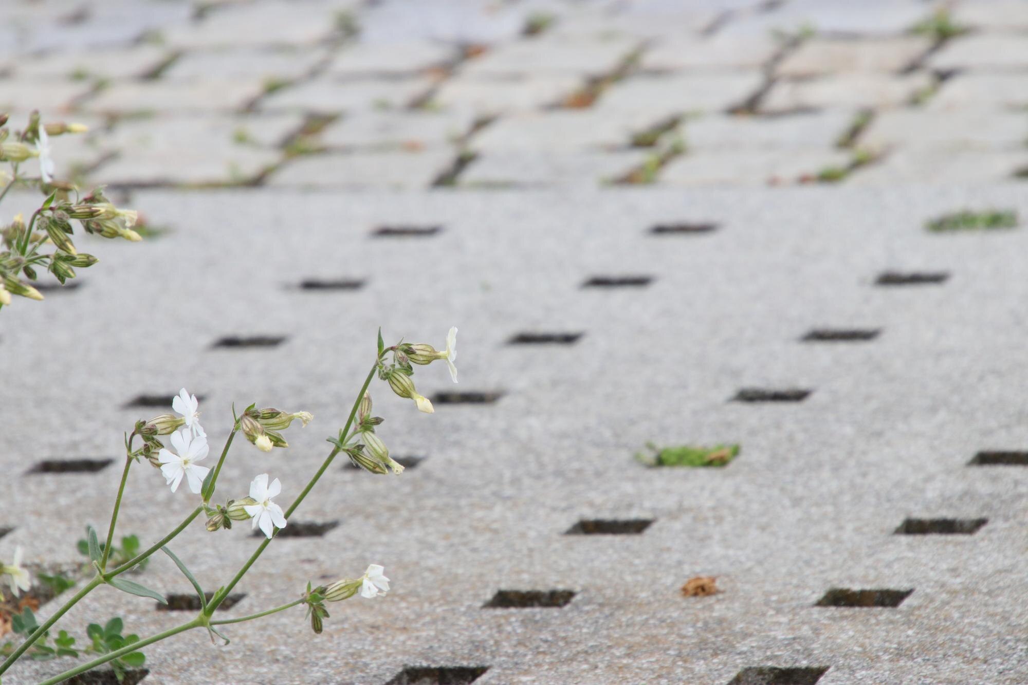 Eco‑Smart Hardscapes: Innovative, Durable Solutions for Modern San ...
