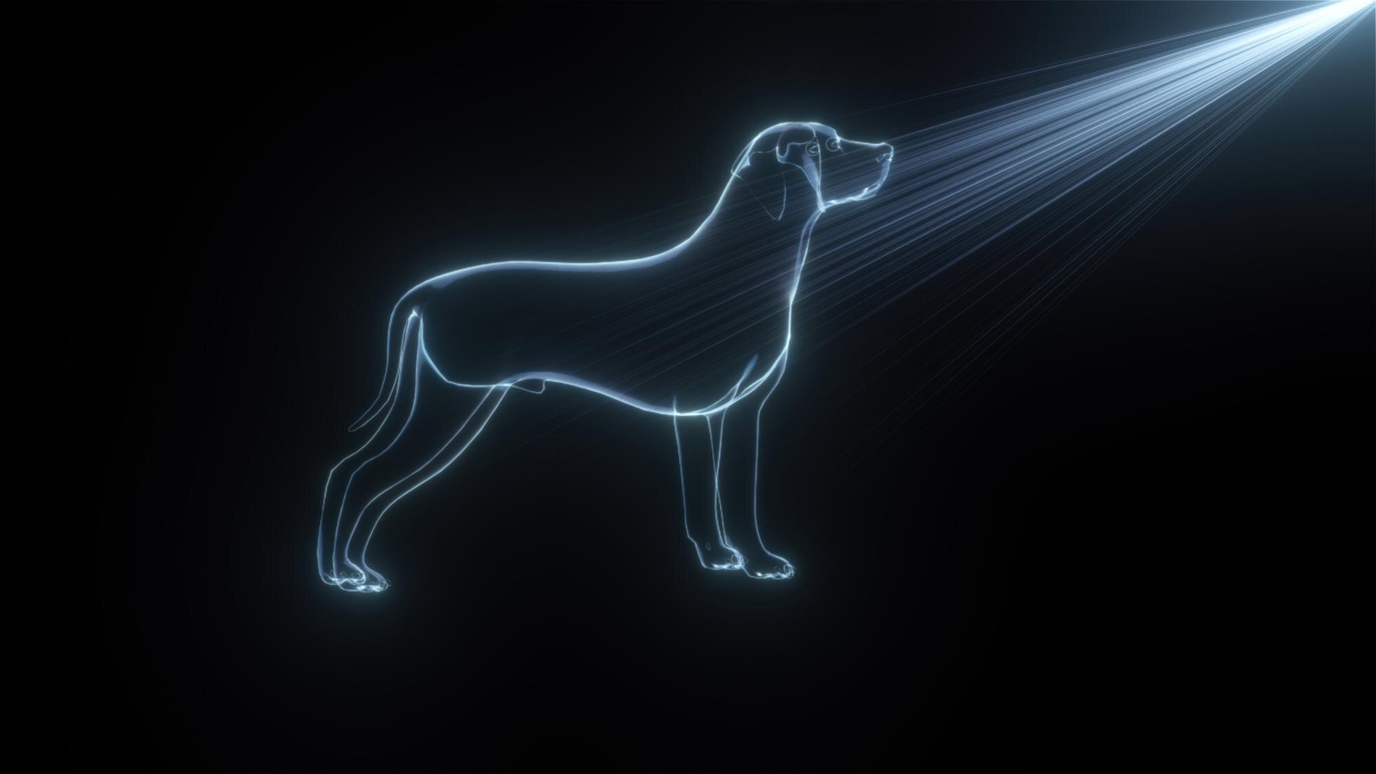 The Future of Veterinary Anatomy Learning: Exploring AR and 3D Models ...