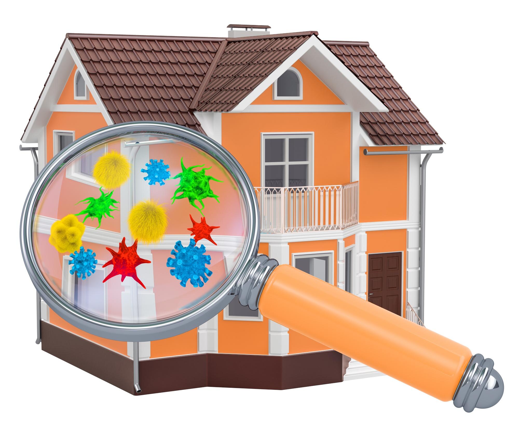 Preparing Your Home for Safe, No-Vacate Pest Treatments - Hygiene & Bugs