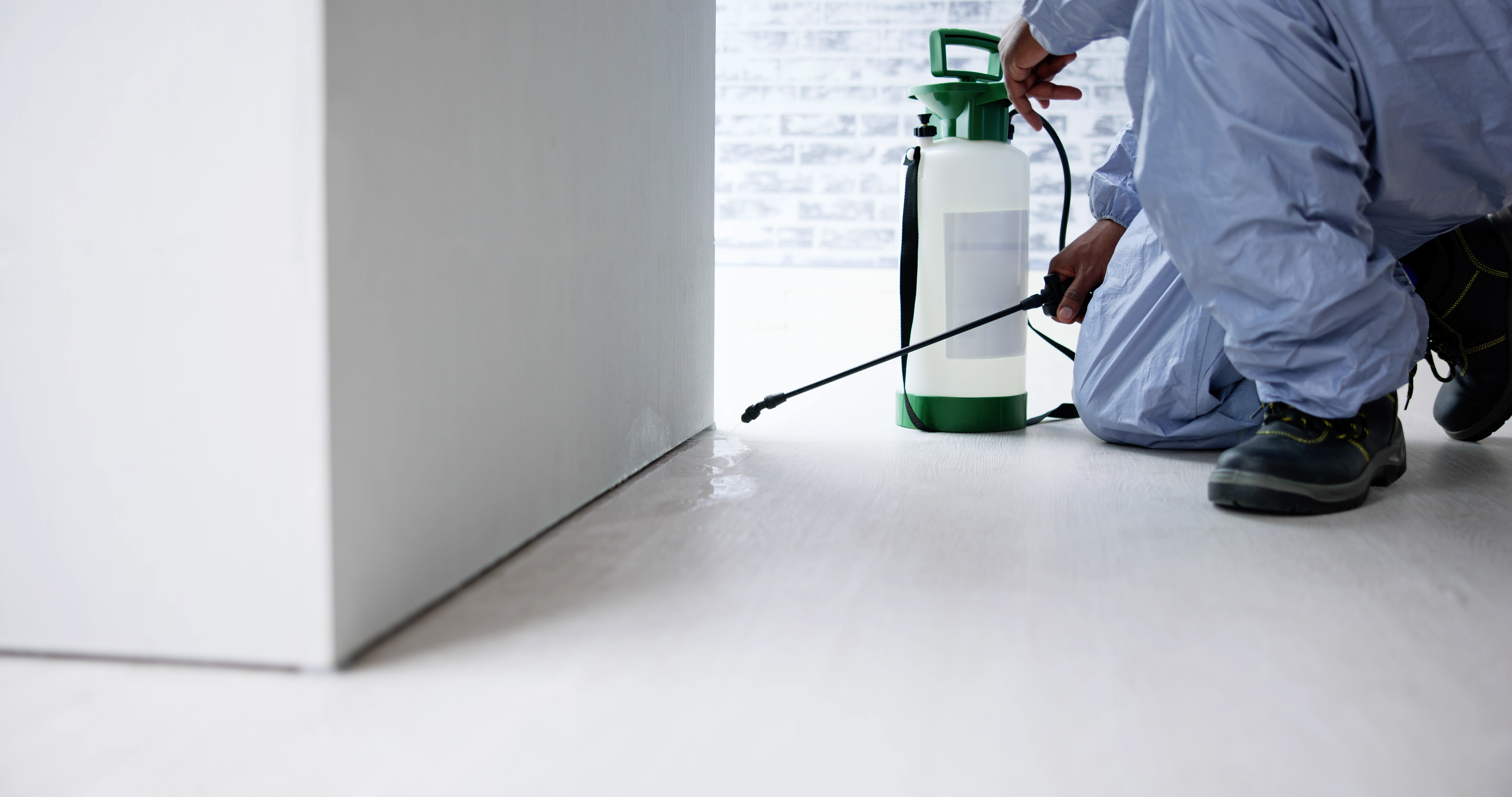 Finding the Perfect Pest Control Package: A Guide for Your Home and ...