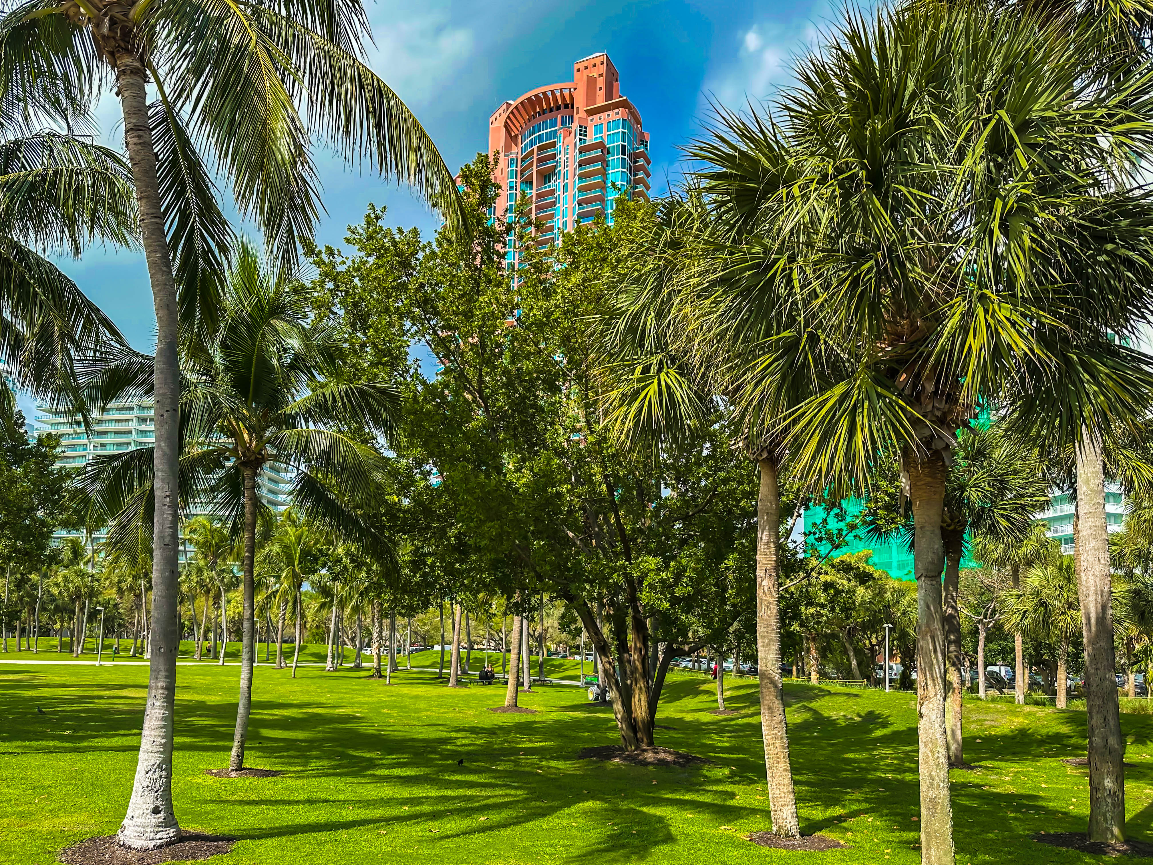 From Awareness to Action: Community Engagement Lessons from Earth Week ...