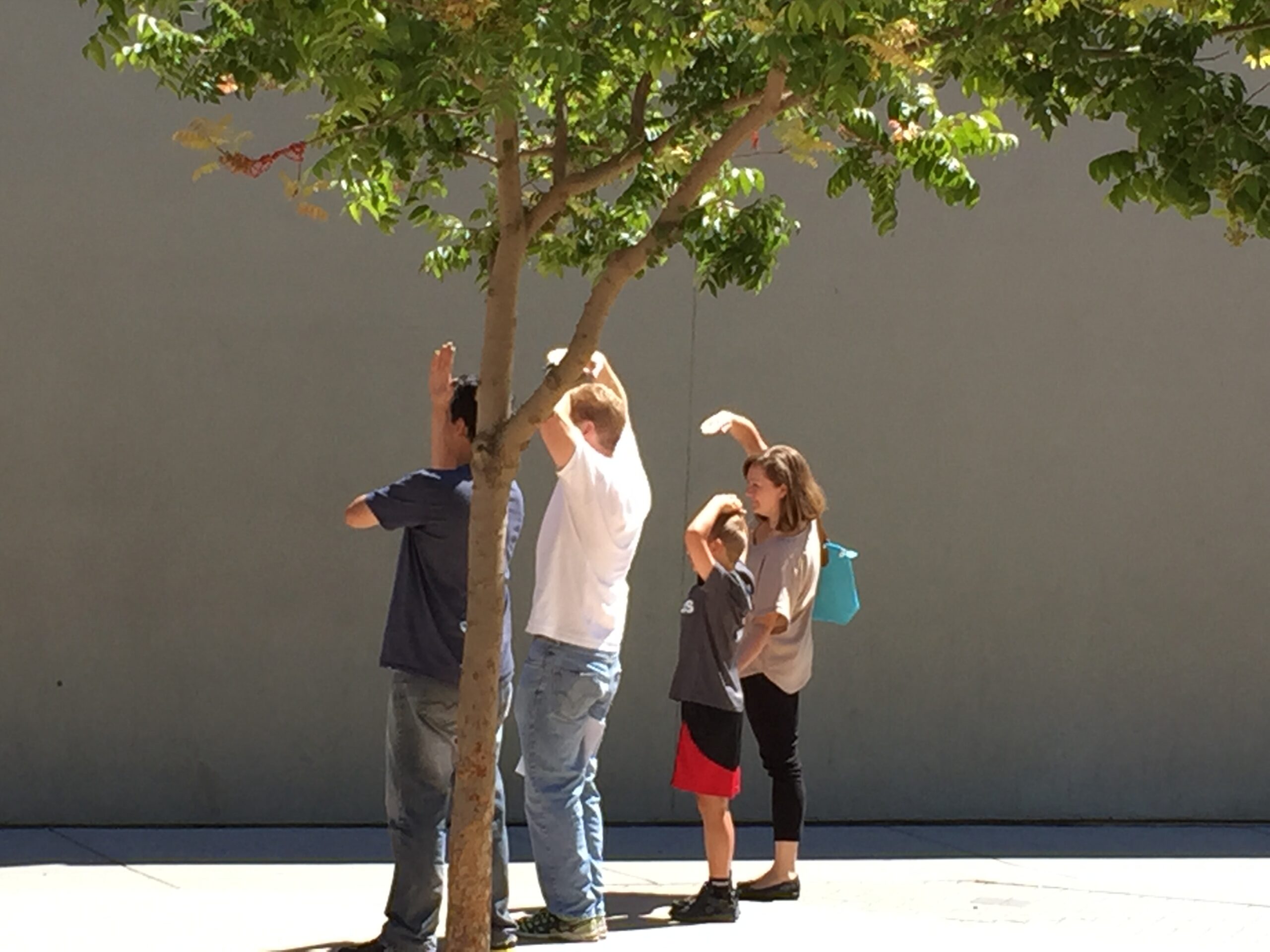 Augmented Reality Transforms Scavenger Hunts – Mr Treasure Hunt