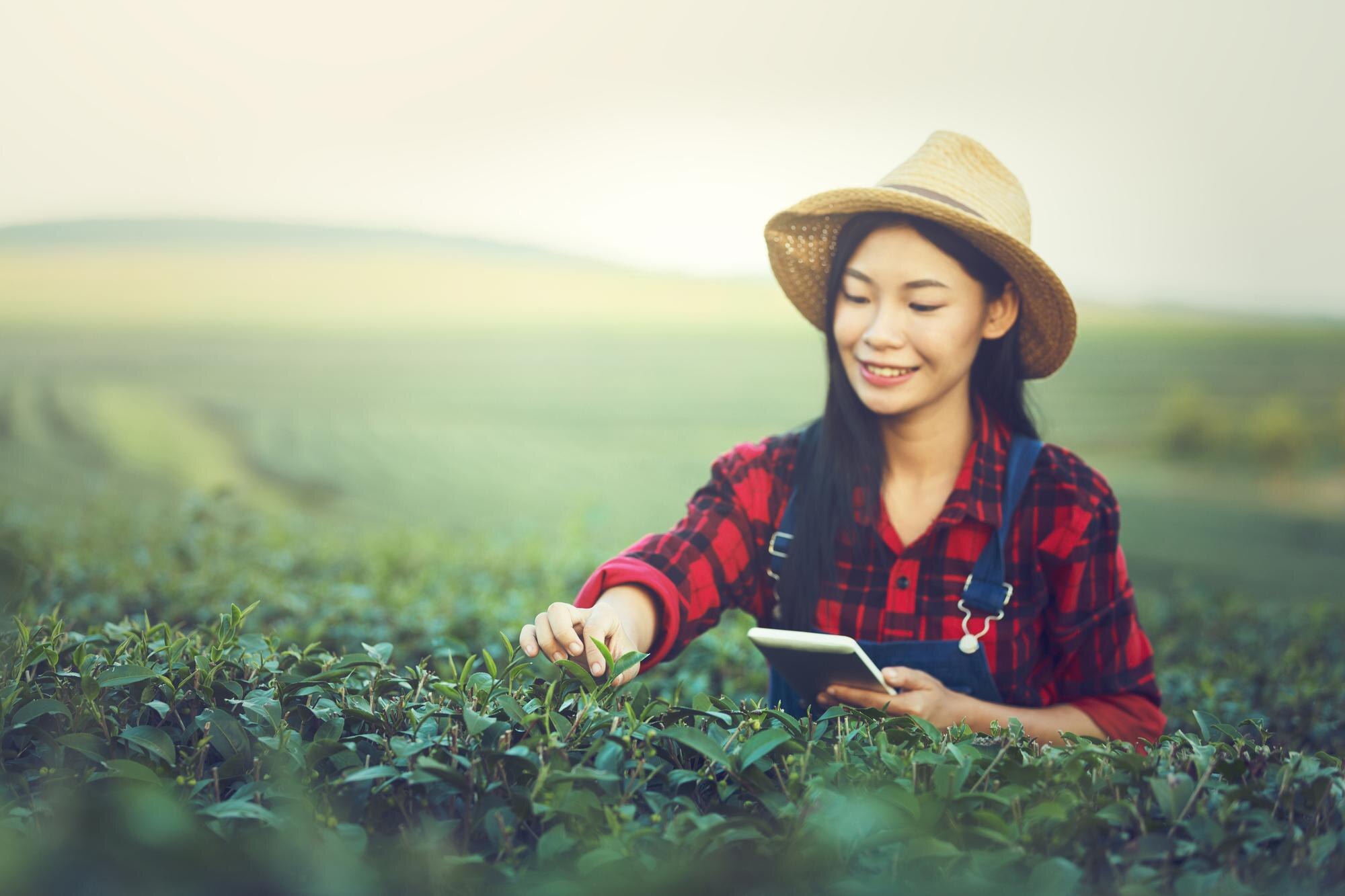 Best Practices for Managing Field Operations with Plantation ERP ...